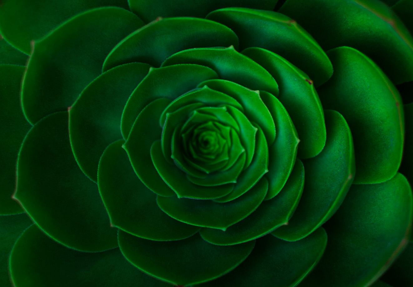 Please, Not Another Tech Tool! | D2L