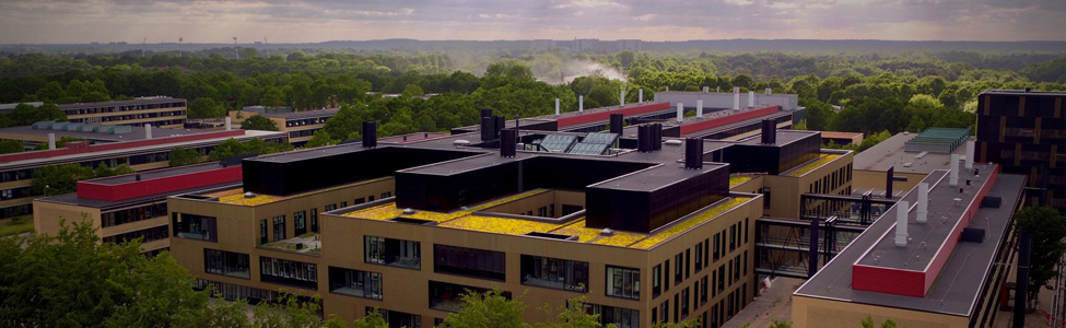 Denmark Technical University (DTU) | D2L