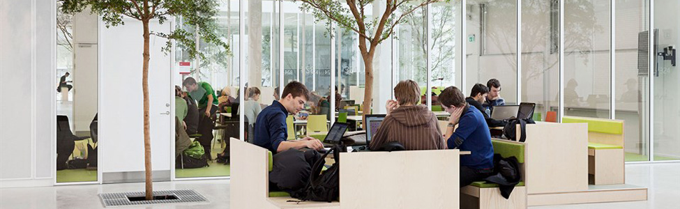 Denmark Technical University (DTU) | D2L