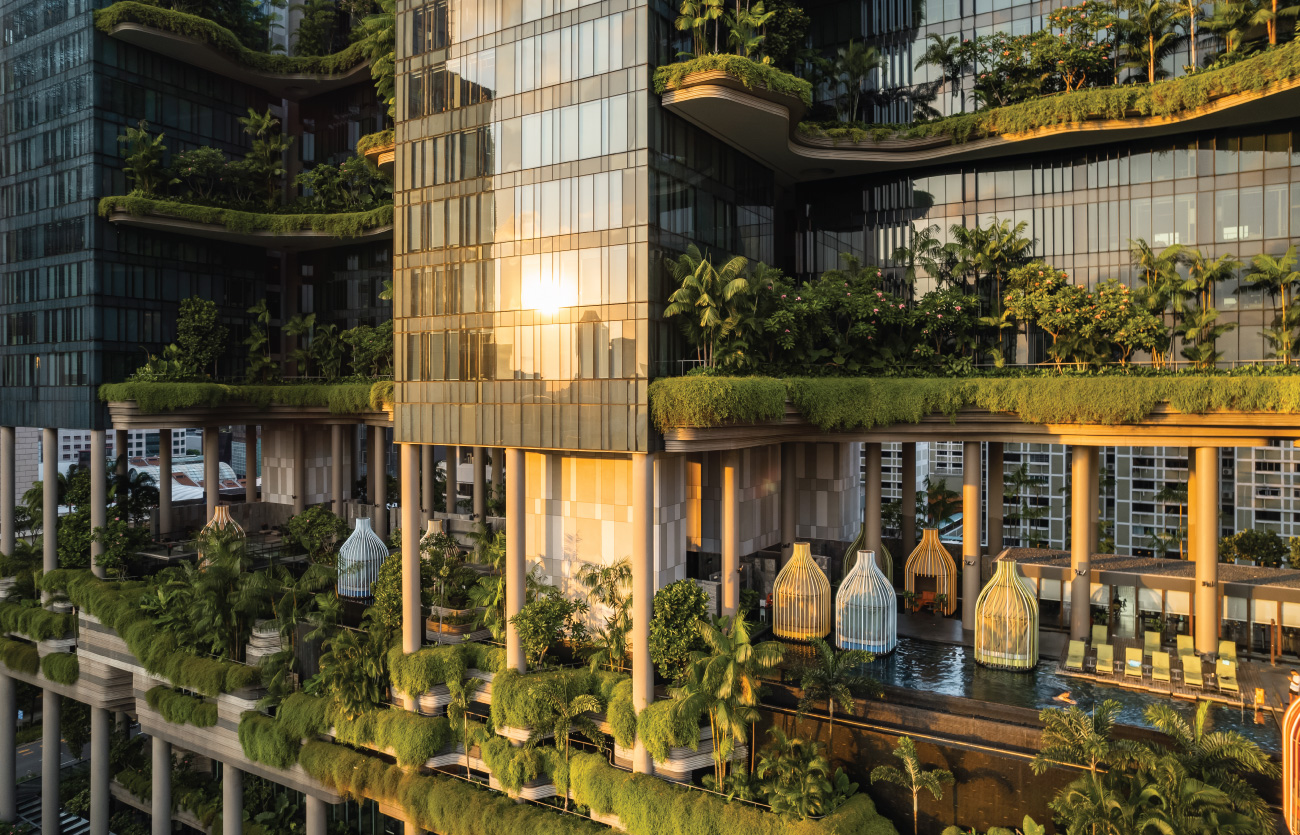 D2L Connection: Singapore: Ignite the Joy of Learning